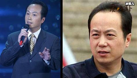 罗京妻子刘继红再婚了吗？对方是谁？ 明星 冰棍儿网
