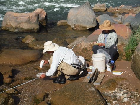 Safeguarding The Colorado River Ecosystem Western Area Power