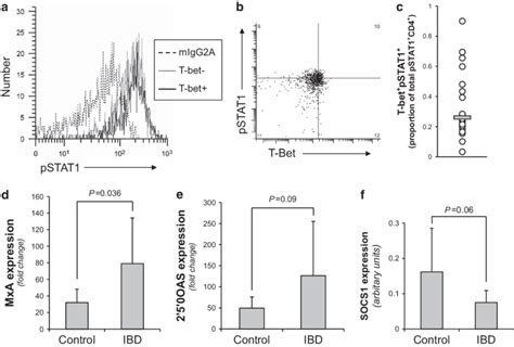 Intestinal T Cells Are More Responsive To Type 1 Interferon Ifn 1 In