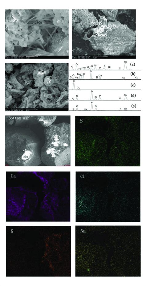 Scanning Electron Microscopy With Energy Dispersive X Ray Spectroscopy