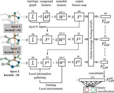 the operation of the graph convolution and gcn model architecture of