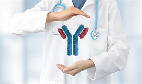 International Myeloma Foundation On Linkedin Bispecific Antibodies