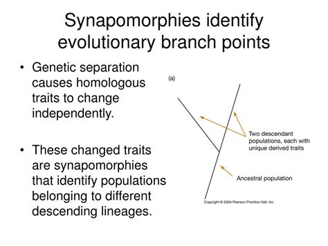Ppt Reconstructing Evolutionary Trees The Logic Of Phylogeny