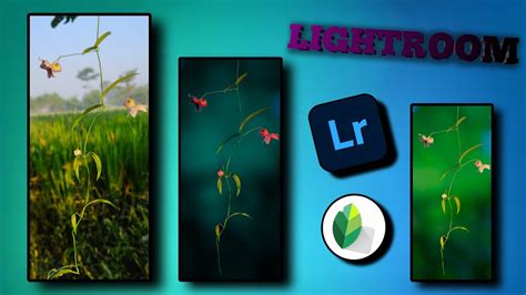 Moody Flower Editing Tutorial Lightroom Colours Grading Blur Photos