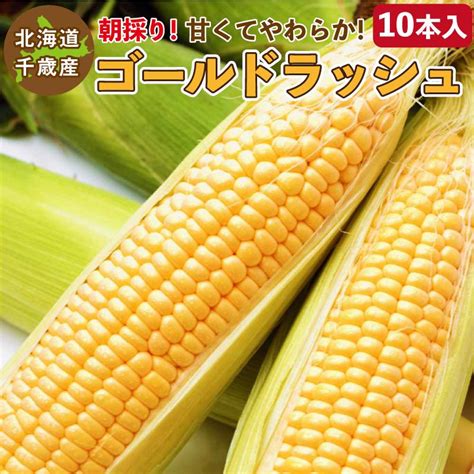 Gold Rush とうもろこし ゴールドラッシュ M〜2l混合 10本入り 北海道 千歳産 黄色いトウモロコシ 送料無料 ご予約販売
