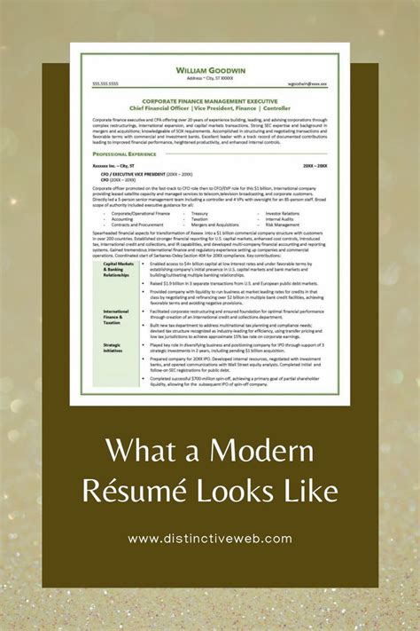 Cfo Resume Examples Artofit