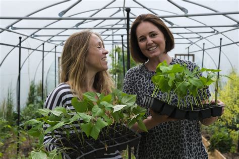 What Veg Seeds To Sow In February She Grows Veg