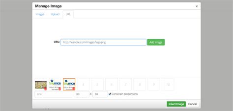 TinyMCE4 Album Image Manager By Leaui CodeCanyon