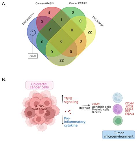 The Kras Mutant Consensus Molecular Subtype 3 Reveals An Immunosuppressive Tumor