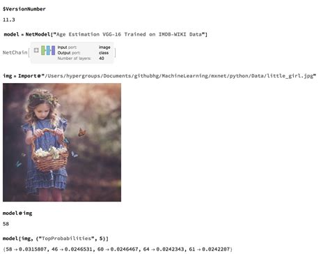 Machine Learning How Can I Reproduce The Result Of AgeEstimation