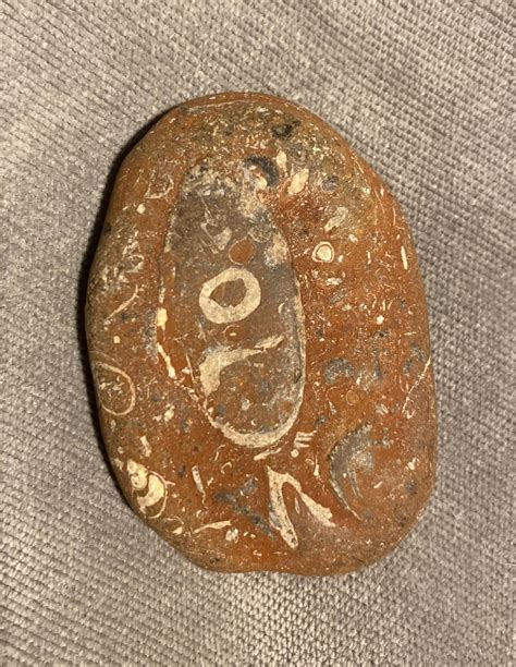 Fossil Identification Needed R Fossilid