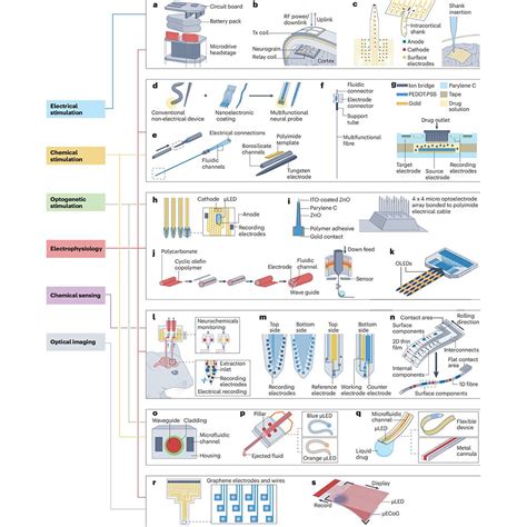 Review On Multifunctional Implantable Neurotechnologies In Nature