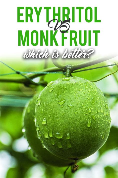 Monk Fruit Sweetener Conversion Chart A Visual Reference Of Charts