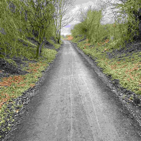 Compare And Contrast Lengthsman