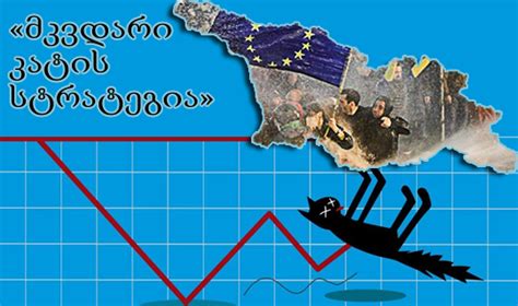 რა არის მკვდარი კატის სტრატეგია და რა კავშირი აქვს მას საქართველოსთან