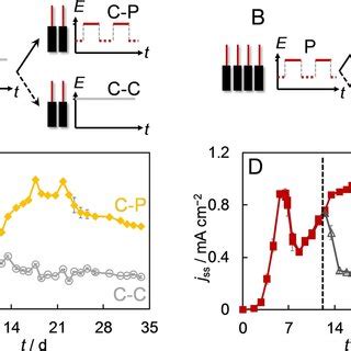 A B Schematic Representations Of The Polarization Strategies In The Download Scientific