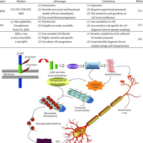Schematic Representation Of A Possible Pathway Of Tau Aggregation And