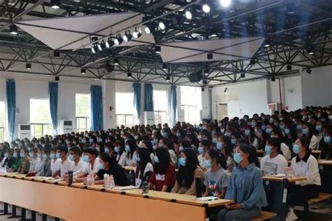 【普法强基】巡回法庭进校园 筑牢防范诈骗“防火墙”澎湃号·政务澎湃新闻 The Paper