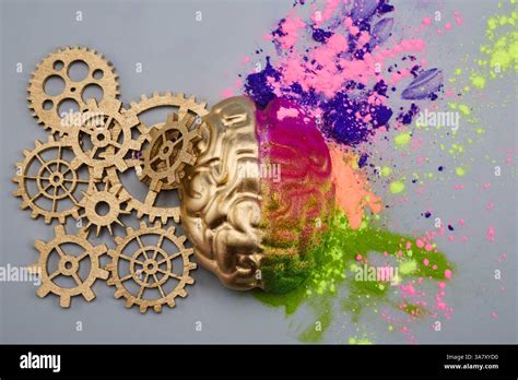 Left And Right Human Brain The Right Creative Hemisphere And The Left Logical Hemisphere Stock