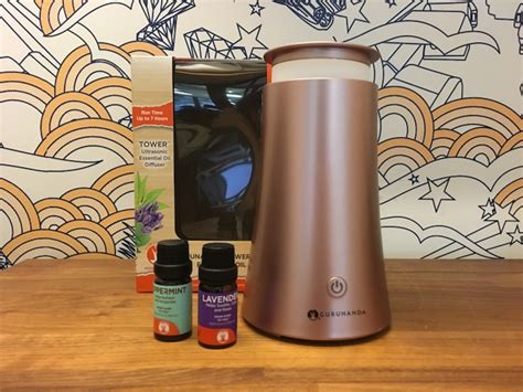 Cute Essential Oil Diffuser Momtrends