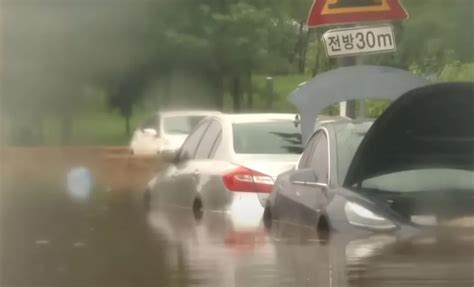2023년 한반도 폭우 사태 알파위키