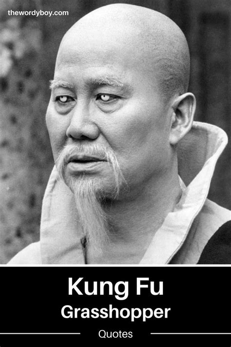115 Kung Fu Grasshopper Quotes Kung Fu Martial Arts Tai Chi Chuan