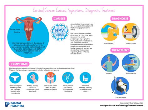 What Causes Cervical Cancer Cervical Cancer Symptoms And Causes City