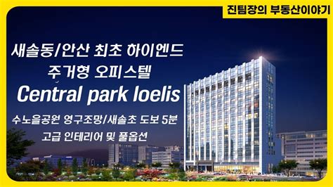 화성시 새솔동 하이엔드 주거형 오피스텔 센트럴파크 로엘리스 전경시행사 직영 대형평수 월세 Youtube