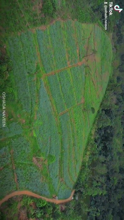 ගම 💚 කුරුලු ඇසින් Photography Photo Video Viralvideo Drone Dronevideo Srilanka