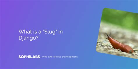 What Is A Slug In Django Sophilabs