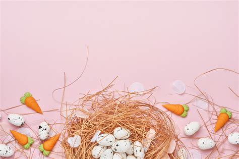 둥지에 계란을 메추라기와 핑크 배경에 달콤한 당근 복사 공간이있는 부활절 최소한의 창조적 인 수평 구성 봄 해피 부활절 휴일