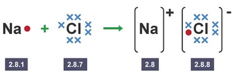 Ionic Compounds Chemistry For Grade 10 Pdf Download