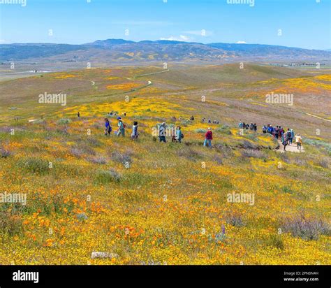 April 14 2023 Lancaster Ca Usa Visitors Walk The Trails At The