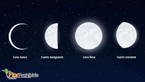 ROMPECABEZAS DE LAS FASES LUNARES 15 Elementos Play Jigsaw Puzzle