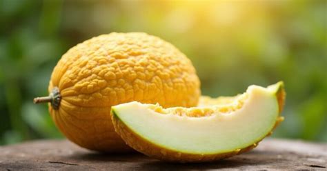 Casaba Melon Grow Harvest And Enjoy This Unique Fruit