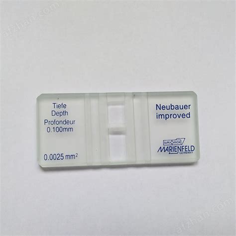 血球计数板 智慧城市网