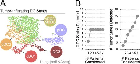 Scrna Seqbased Detection Of Tumor Infiltrating Dc States In Human