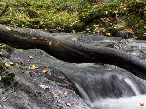 Panasonic Lumix GX Vs GX The Main Differences Mirrorless Comparison