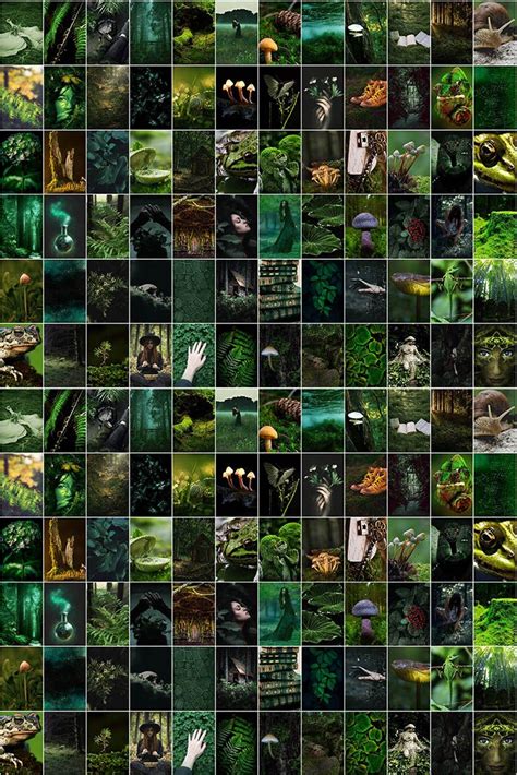72 Pcs Goblincore Aesthetic Room Decor By Grayblackwhite Green Wall