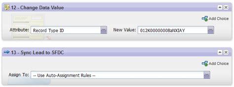 setting the sfdc record type marketing nation