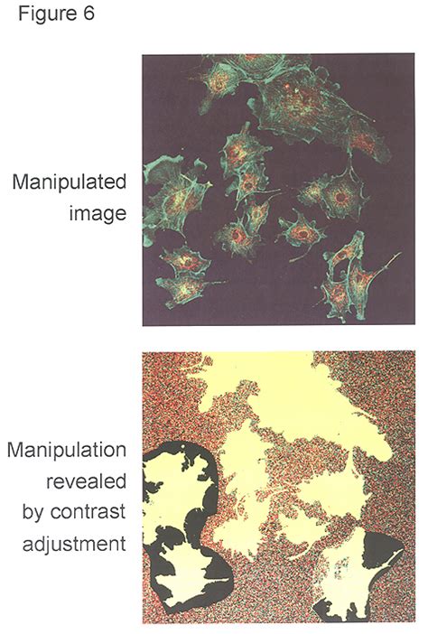 The Nih Catalyst May June