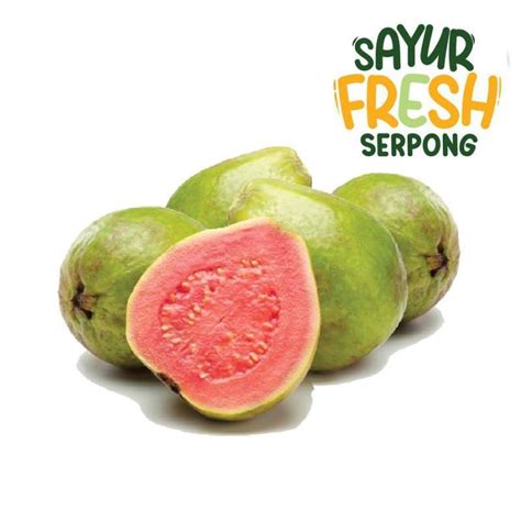 Jual Jambu Biji 1 Kg Halal Di Seller Sayur Fresh Serpong Serpong