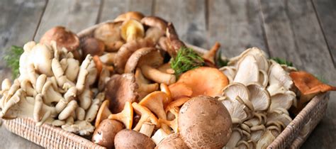 Eat Your Spermidine Shiitake Mushroom Stir Fry Recipe Oxford Healthspan