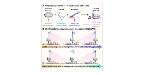 Dna Robots For Crisprcas12a Activity Management And Universal Platforms For Biosensing