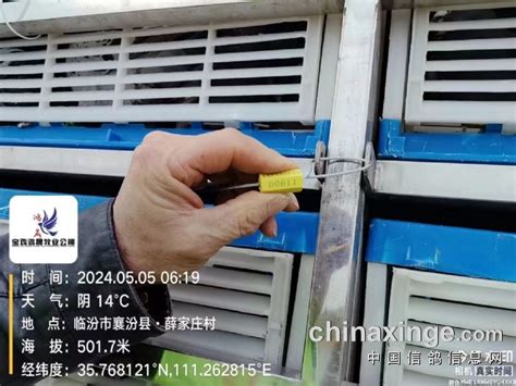陕西宝鸡鸿晟牧业赛鸽公棚 春棚 第三关预赛开笼公告 陕西宝鸡鸿晟牧业赛鸽公棚 中信网各地公棚