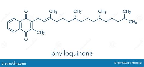 Vitamin K Or Phylloquinone Infographic Cartoon Vector Cartoondealer