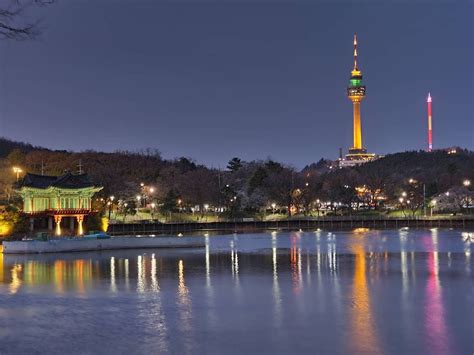 봄을 담다 🌸 Samsung Members