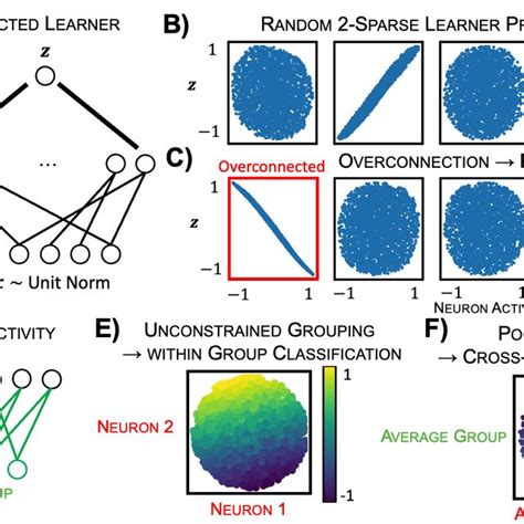 Understanding Connectivity Via Inductive Bias A We Model The Fly Download Scientific Diagram
