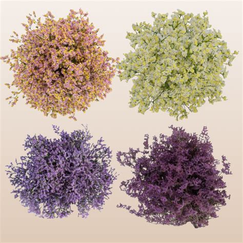 Limonium Flower Combo Box Assorted Flower Delivery Near Me