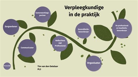 Het Verpleegkundige Plaatje By Tim Van Den Oetelaar On Prezi